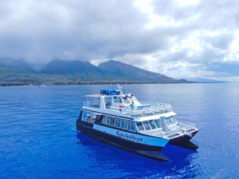Ma'alaea Harbor: Whale Watching Tour Aboard Power Catamaran - The Real Value of This Whale Watching Cruise