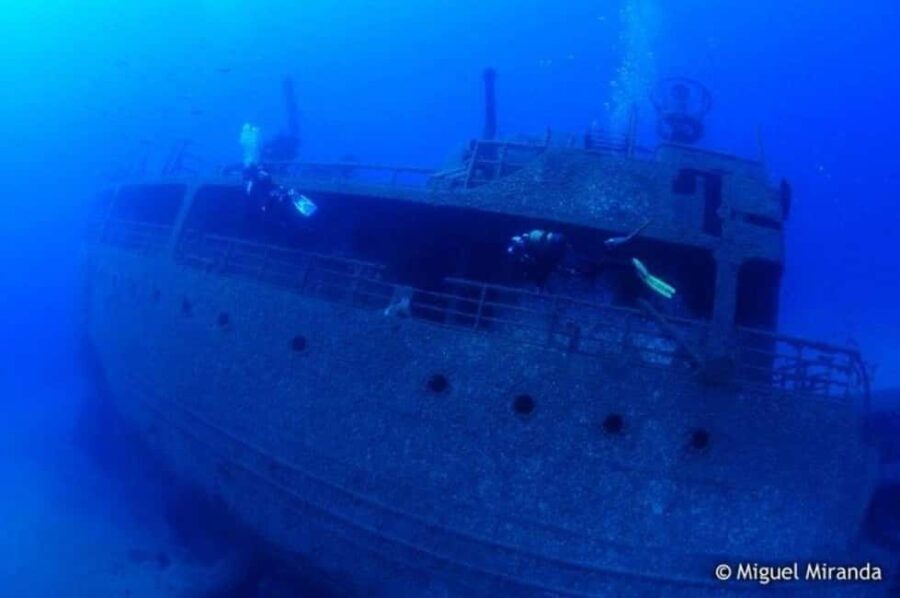 Madeira: 4-hour Scuba Dive from Porto Santo Island - Meeting, Timing, and Practical Details