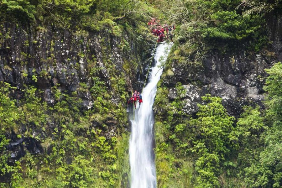 Madeira: Canyoning Adventure Level 1 - The Itinerary Breakdown