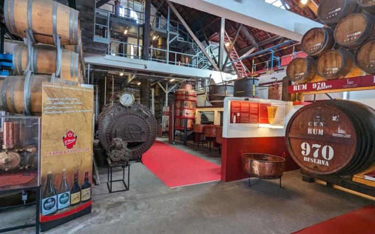 Madeira East Express: Ponta de São Lourenço and Villages - Transportation and Practical Details