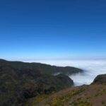 Madeira: East Island Tour with Rum Tasting - Authentic Reviews and What Travelers Say