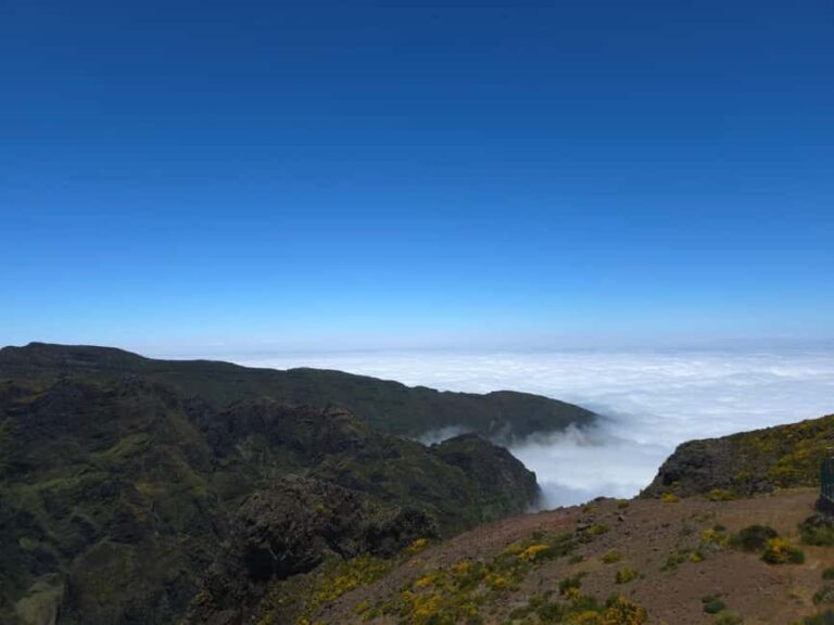 Madeira: East Island Tour with Rum Tasting - Authentic Reviews and What Travelers Say