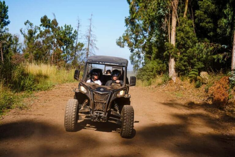 Madeira Island: Buggy FunTrip - Guided CAN-AM OFF-ROAD Buggy Adventure - What Travelers Love Most