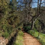 Madeira: Levada Paradise Valley Scenic Walk - The Itinerary: A Step-by-Step Breakdown