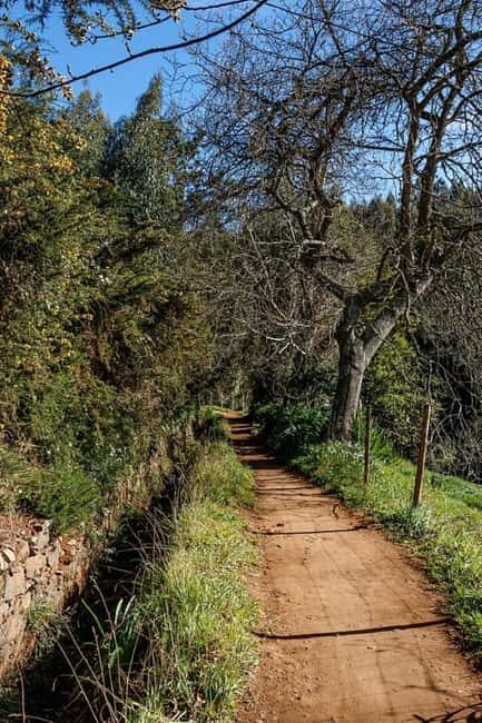 Madeira: Levada Paradise Valley Scenic Walk - The Itinerary: A Step-by-Step Breakdown