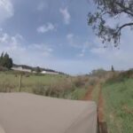 Madeira: Northwest Jeep Tour - Final thoughts