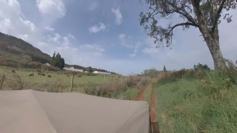 Madeira: Northwest Jeep Tour - Final thoughts