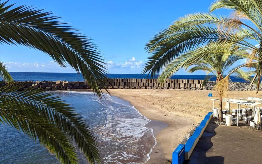Madeira Southwest Express: Half-day Private Jeep tour - Who Should Consider This Tour?