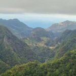Madeira: Surreal East Experience - What Makes This Tour Special?