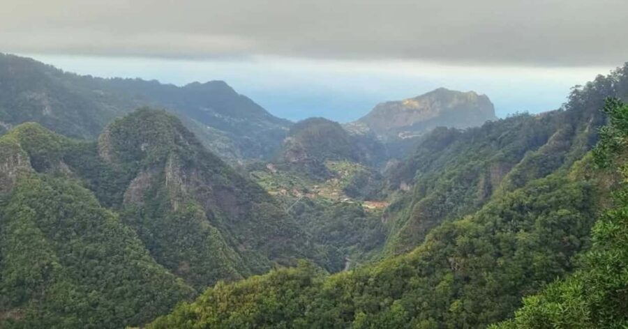 Madeira: Surreal East Experience - What Makes This Tour Special?