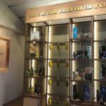 Madrid: Extra Premium Virgin Olive Oil Tasting with Aperitif - Value and Practical Advice