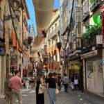 Madrid: Medieval journey in Segovia and Toledo - What to Expect on Your Medieval Journey
