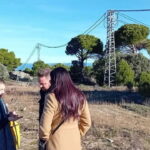 Madrid Winery Tour: Visit & Tasting With Sommelier Guide - Who Will Love This Tour?
