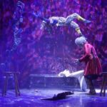 Magic World  Magic Festivals - What You Can Expect During the Show