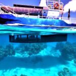 Magical Boat Tour with Underwater Cabin in Bora Bora! - The Experience from the Reviewers’ Perspective