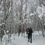 Maiella: Scenic snowshoe hike suitable for all - The Itinerary in Detail
