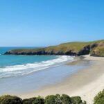 Mainland Peninsula Tour - Otago Peninsula Eco Restoration & Penguin Place