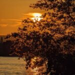 Mainz: guided evening tour of the Rhine riverbank/old town in German and English - Exploring Mainz by Night: An Introduction