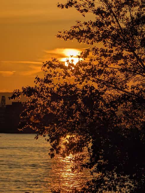 Mainz: guided evening tour of the Rhine riverbank/old town in German and English - Exploring Mainz by Night: An Introduction
