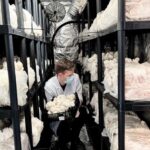 Makars Mushroom Farm Summerhall Tour with DIY Block Making - Key Points