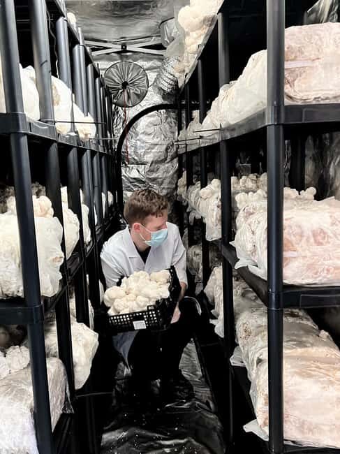 Makars Mushroom Farm Summerhall Tour with DIY Block Making - Key Points