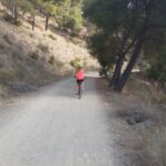 Málaga: 3-Hour E-Bike Tour of Montes de Malaga Natural Park - The Return Journey: Choice and Scenic Beauty