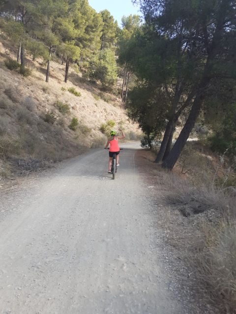 Málaga: 3-Hour E-Bike Tour of Montes de Malaga Natural Park - The Return Journey: Choice and Scenic Beauty