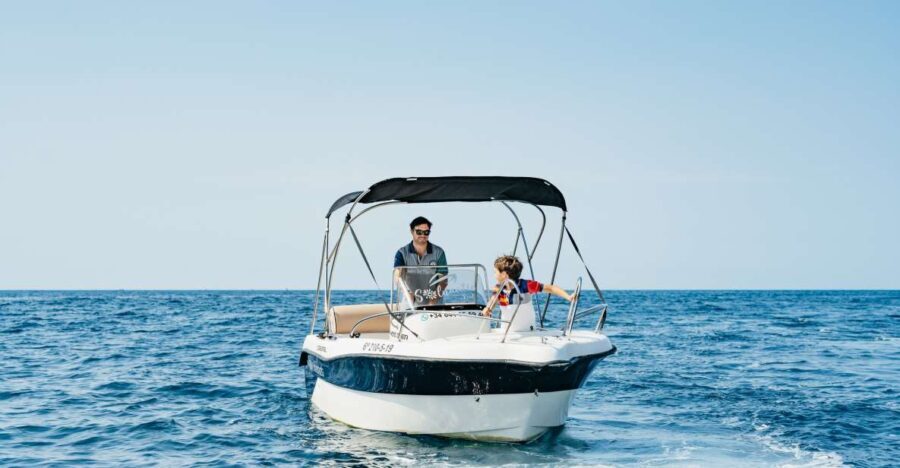 Malaga: License-free Boat Rental for Dolphin Watching - What’s Included and What You Should Expect to Pay Extra For