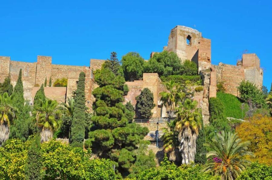 Malaga: Private 2 Hour or Half-Day Sightseeing Tour - Why the Price of $125 Is a Good Deal