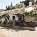 Málaga:Exclusive Heroic Vineyard Visit & Natural WineTasting - An In-Depth Look at the Experience