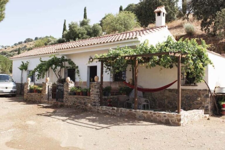 Málaga:Exclusive Heroic Vineyard Visit & Natural WineTasting - An In-Depth Look at the Experience