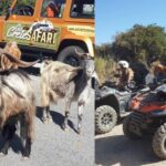 Malia: Off-Road Quad Safari Tour with Lunch and Transfers - Who Should Consider This Tour?
