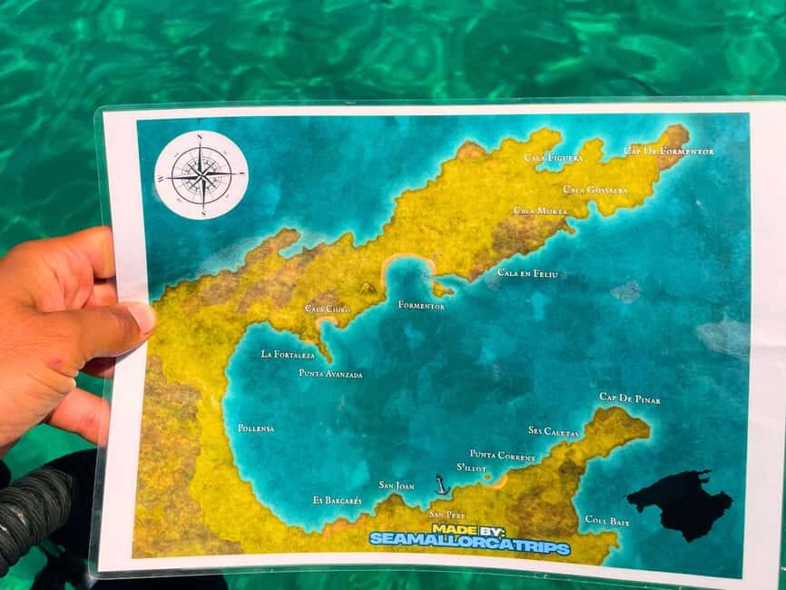 Mallorca: Alcudia, Private Boat Tour to Formentor & Pollensa - The Experiences Highlights from Traveler Feedback