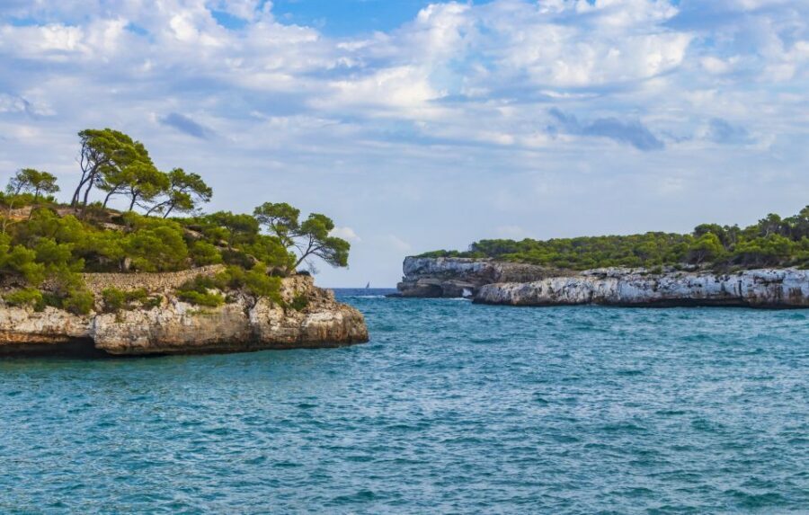 Mallorca: Cala Mondragó Natural Park Jetski Tour - Who Will Love This Tour?