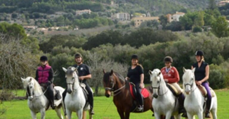 Mallorca: Guided Horseriding Tour of Randa Valley - What the Ride Looks Like