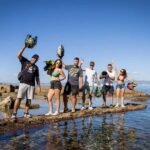 Mallorca: Quad Tour to the top of the mountain & swim - Practical Tips for Participants