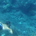 Mallorca: Sóller Boat Tour with Snorkeling and Snacks - Final Thoughts: Is This Tour Right for You?