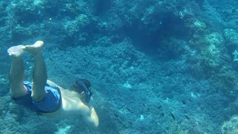 Mallorca: Sóller Boat Tour with Snorkeling and Snacks - Final Thoughts: Is This Tour Right for You?