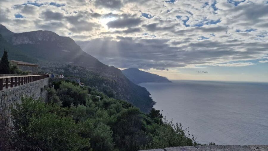 Mallorca: West Coast & Orange Valley Minbustour - Transport, Timing, and Group Dynamics