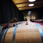 Mallorcas Emblematic Wineries Small Group Tour, two wineries - The Value of the Experience: Is It Worth the Cost?