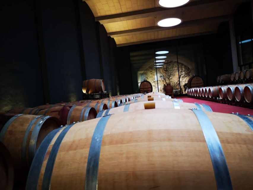 Mallorcas Emblematic Wineries Small Group Tour, two wineries - The Value of the Experience: Is It Worth the Cost?