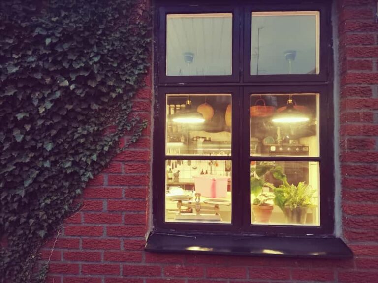 Malmö: Korean Dumplings Cooking Class with Chef So-Young - What Travelers Say About the Experience
