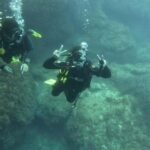 Malta St Pauls Bay: PADI Discover Scuba Diving Experience - Final Thoughts: Is This the Right Choice for You?
