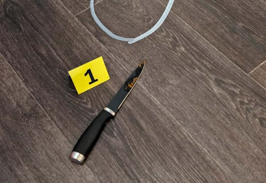 Mannheim, guided walking tour: Crime Scene Mannheim - Who Will Love This Tour?