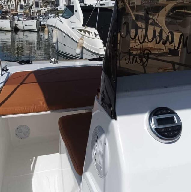 Marbella: License-free Boat Rental for dolphin watching - What You Can Do During Your Rental