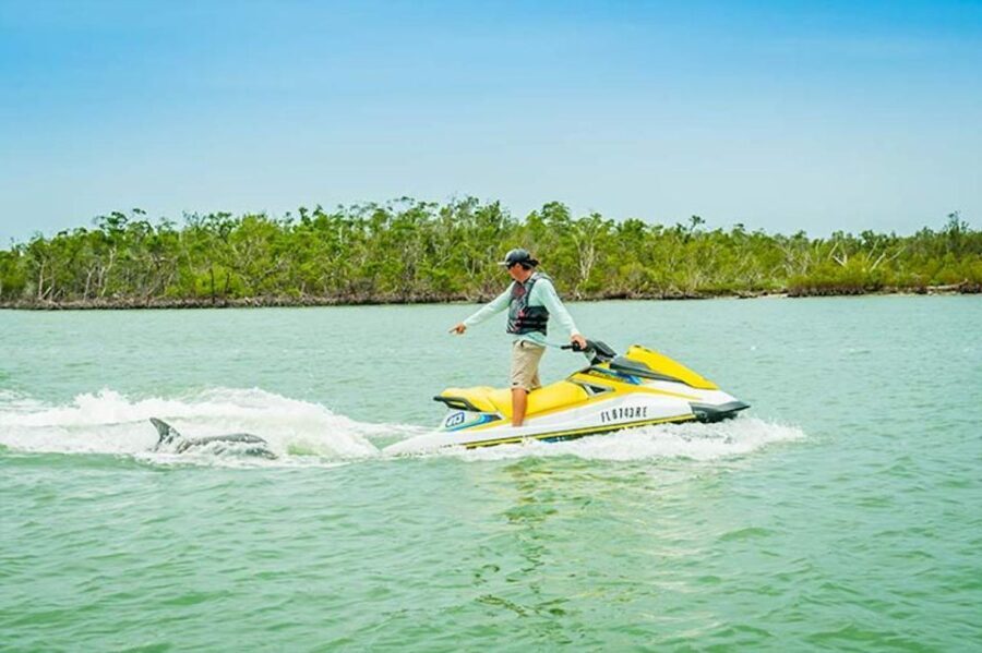 Marco Island: Ten Thousand Island Jet Ski Guided Tour - Final Thoughts