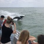 Marco Island: Ten Thousand Islands Shelling & Dolphin Tour - The Itinerary Breakdown: What to Expect from Start to Finish