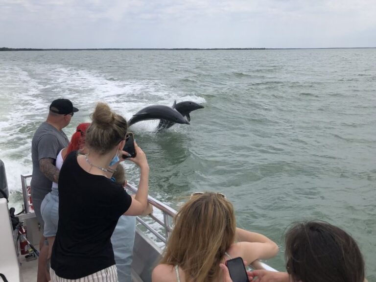Marco Island: Ten Thousand Islands Shelling & Dolphin Tour - The Itinerary Breakdown: What to Expect from Start to Finish