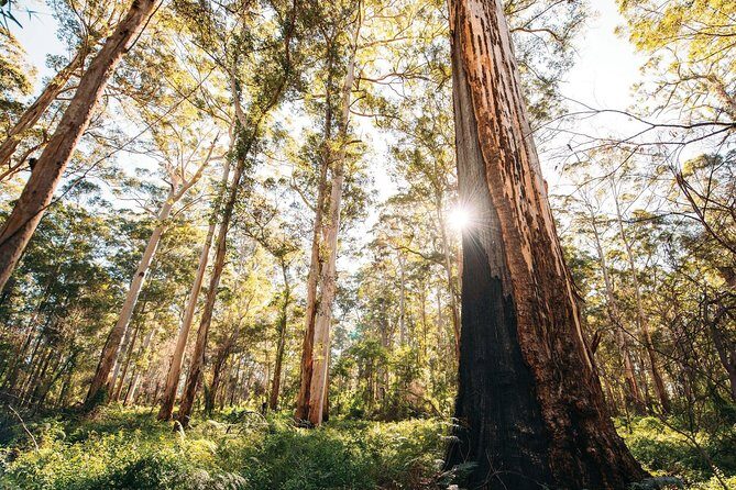 Margaret River 3 Day Escape - Authentic Experiences and Notable Highlights