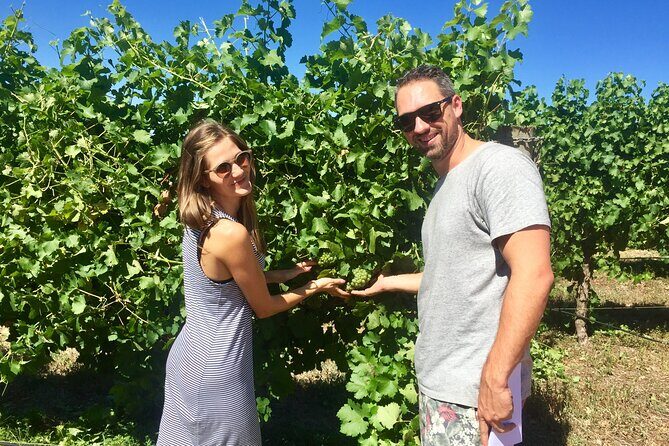 Margaret River Beer & Wine Adventure (departs Margaret River) - Practical Details and Considerations